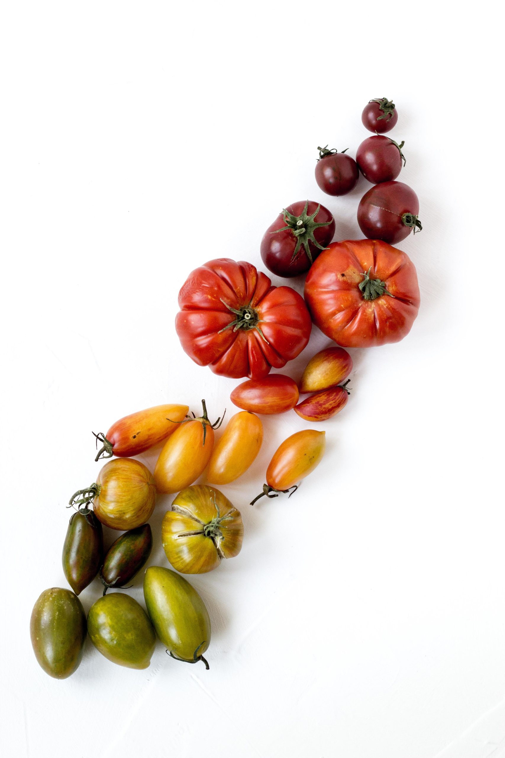 Variétés de tomates : quelles tomates planter ? 5 critères