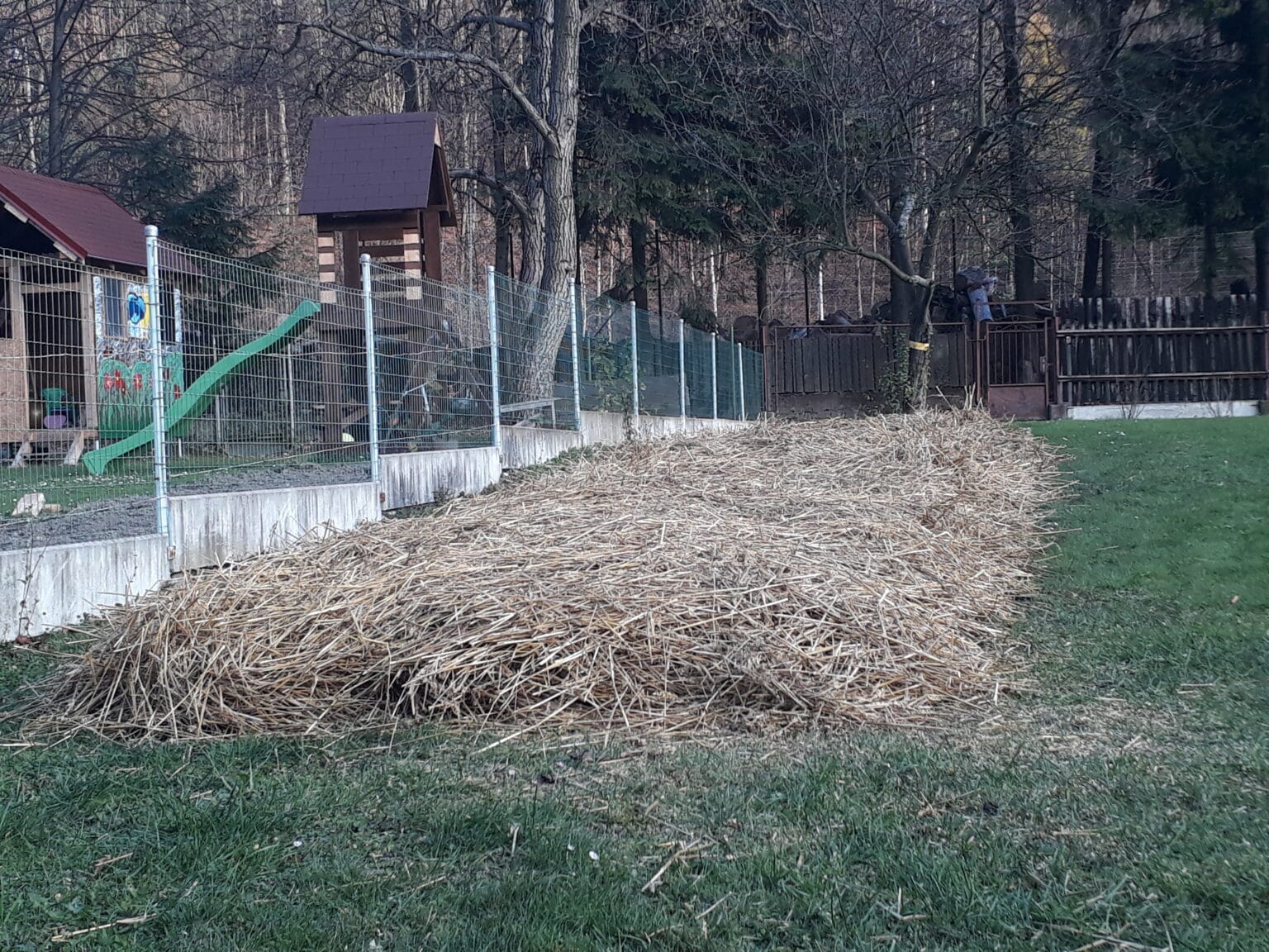 La paille comme couverture du sol, avantages et inconvénients